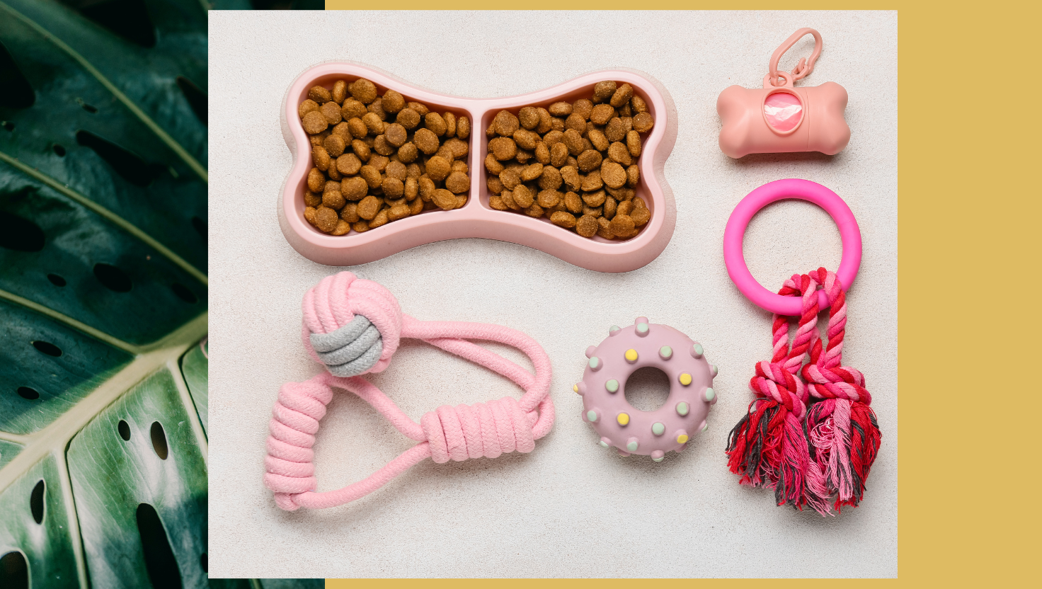 Pet Essentials – King & Queen Industries